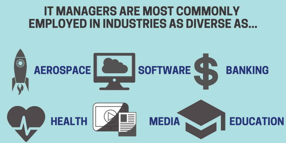 What Can I Do With an Information Technology MBA? - MBA Central