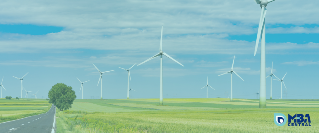 What Can I Do With A Sustainability Mba Mba Central